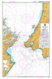 LINZ NZ46 Cook Strait Chart – Barton Marine NZ