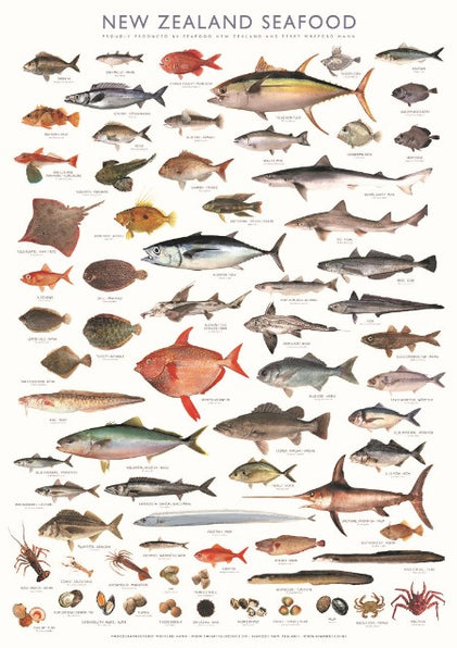 Nautical Charts NZ | Marine Navigation Maps – Barton Marine